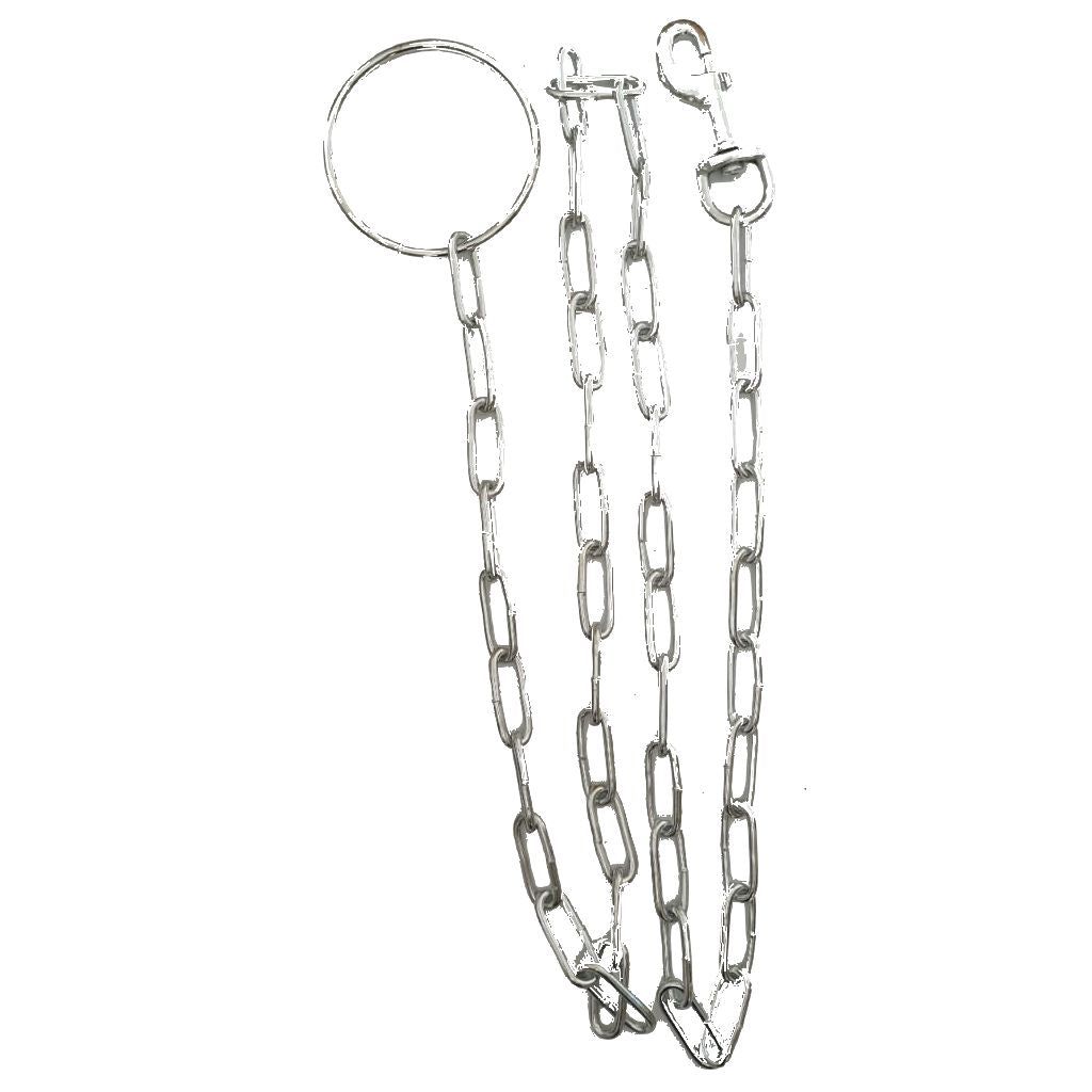 IMG-1179_1200x1200.jpg?v=1723529617