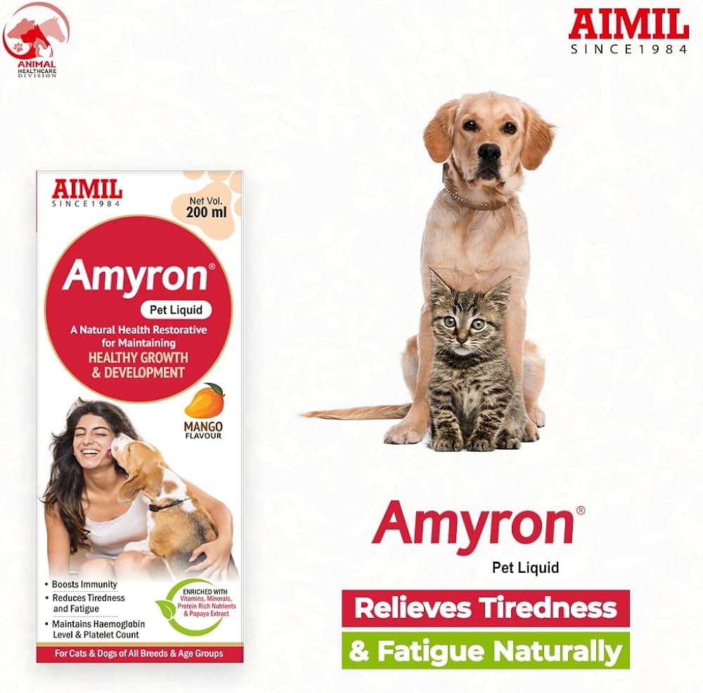 IMG-5385_1200x1200.jpg?v=1751026771